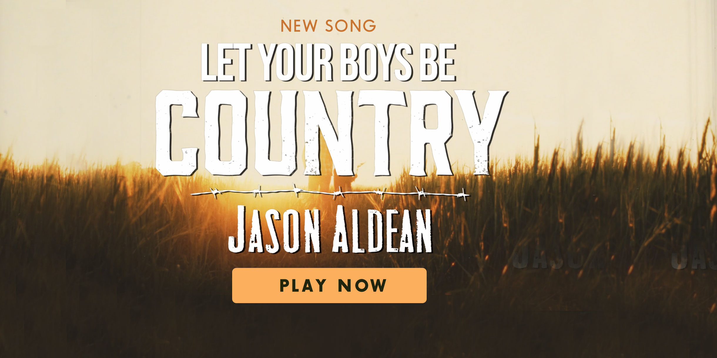 Homepage - Jason Aldean